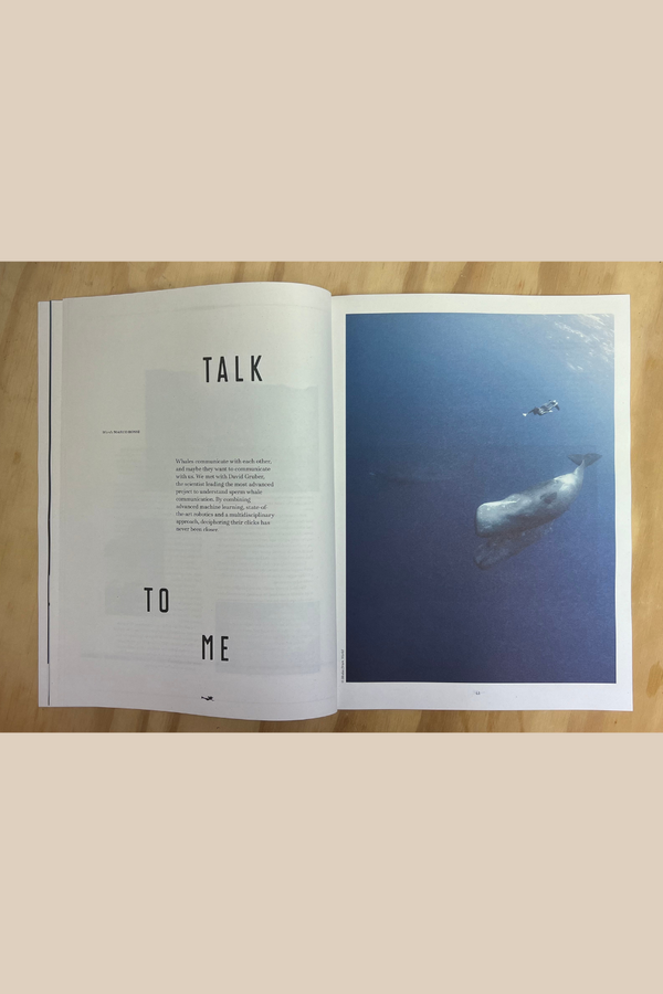 Sirene Issue 19 - Buy online at Pics & Ink - Pics and Ink