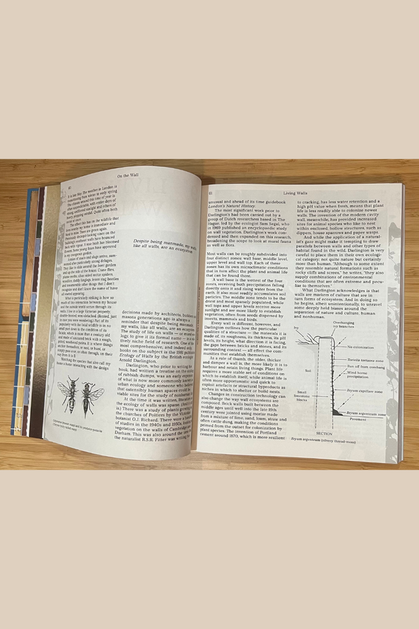 MacGuffin magazine No 14: The Letter - Pics & Ink - Pics and Ink