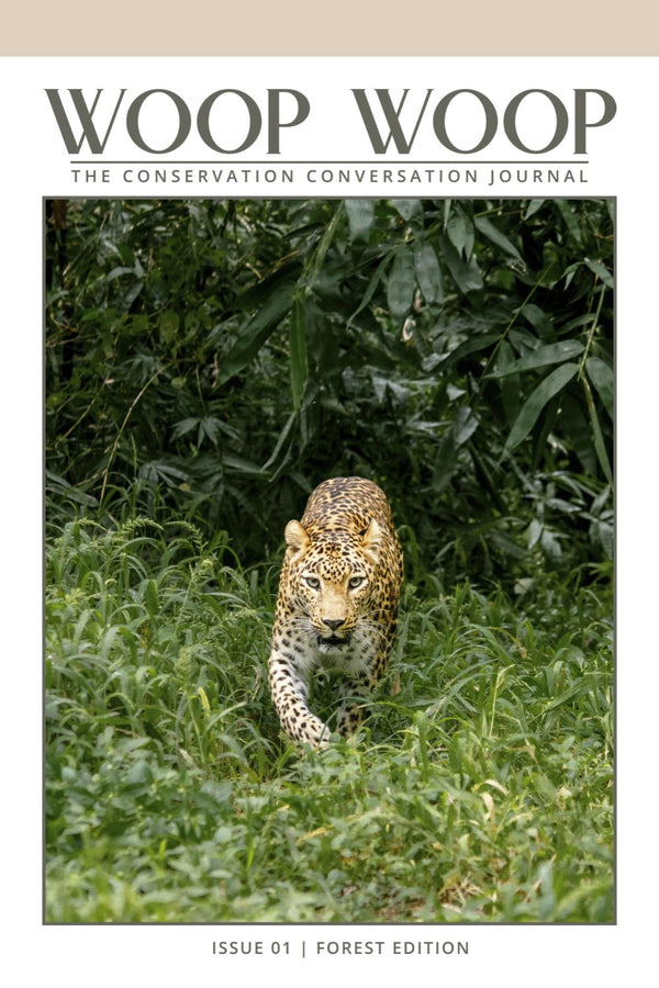 Woop Woop Issue 1: Forest Edition - Buy online at Pics & Ink - Pics and Ink