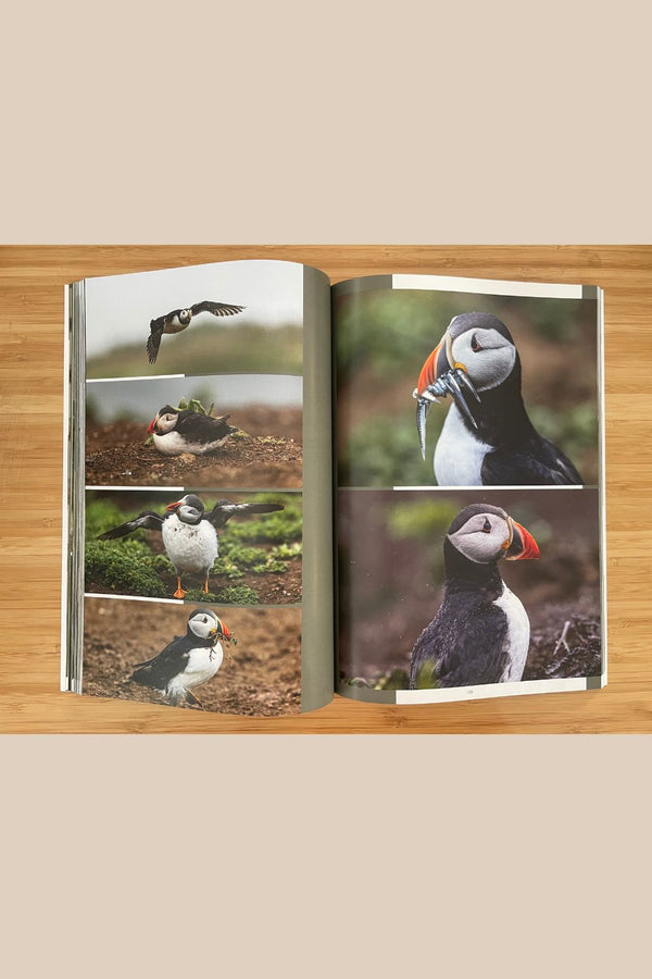 Woop Woop Issue 2: River & Sea - Buy online at Pics & Ink - Pics and Ink
