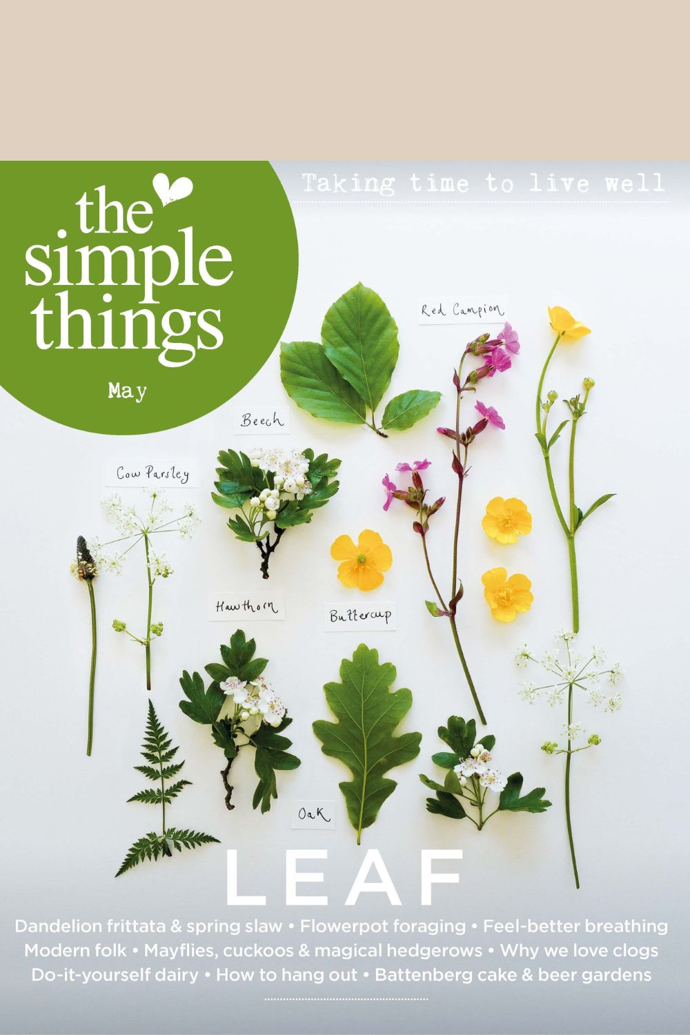 The Simple Things - Pics and Ink
